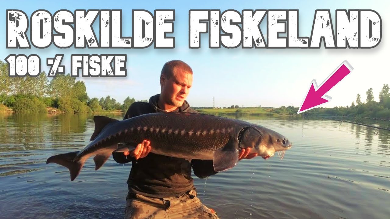 Roskilde fiskeland 2021 * 100%FISKE - YouTube