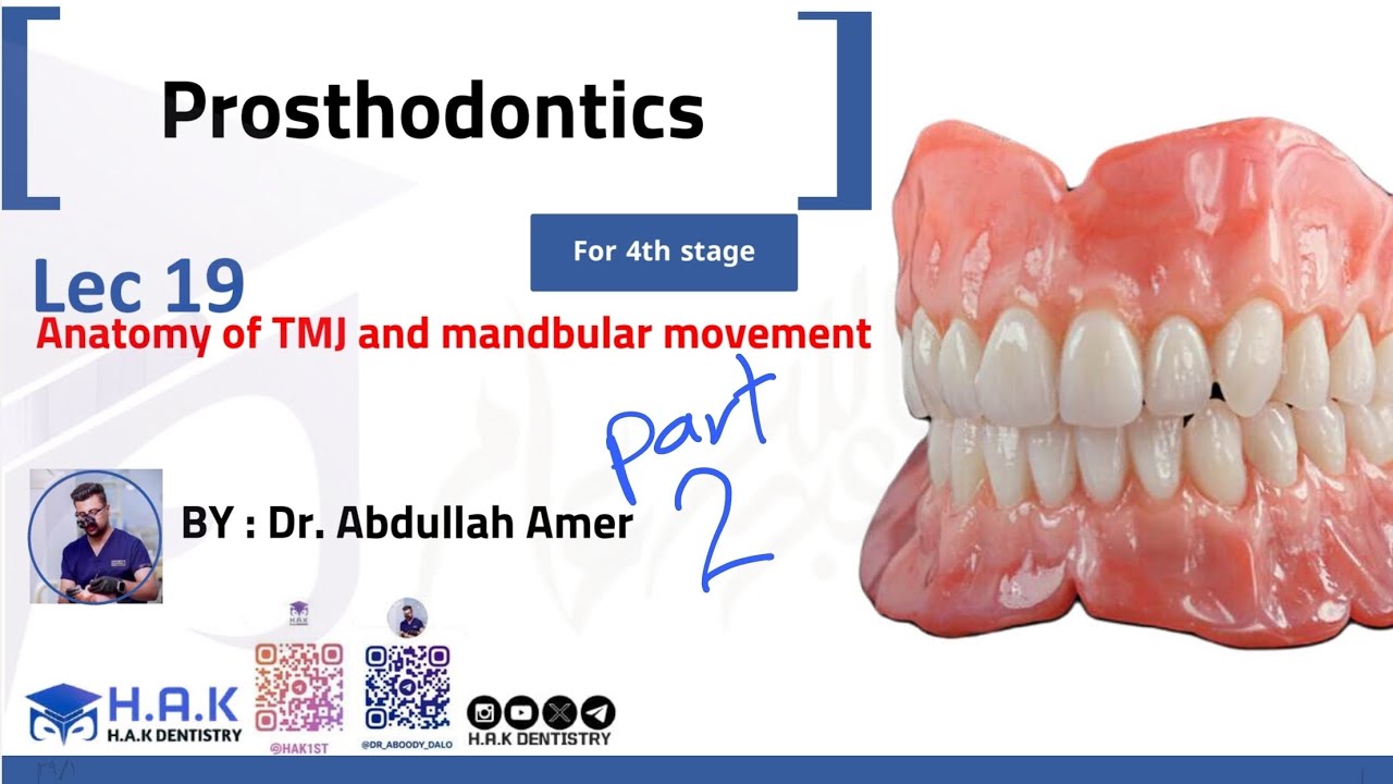 Prosthodontics for 4th stage | Lec19 Part2 | Anatomy of TMJ and mandibular movements - YouTube