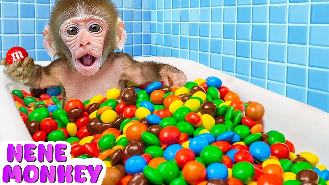 Baby Monkey NeNe play Hide & Seek in World's BIGGEST Rainbow M&M Candy ...
