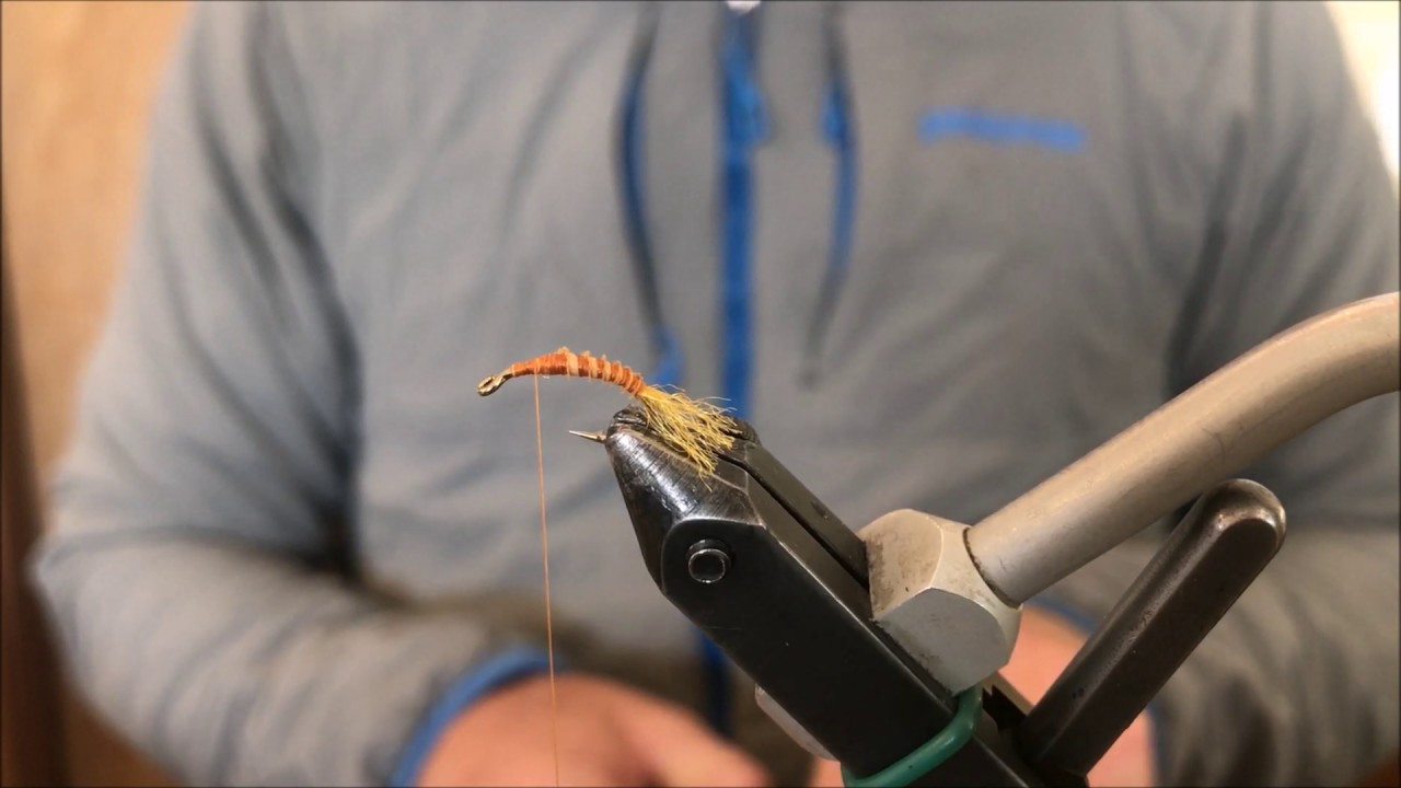 Fly Trying Turducken Cripple (Hecuba) - YouTube