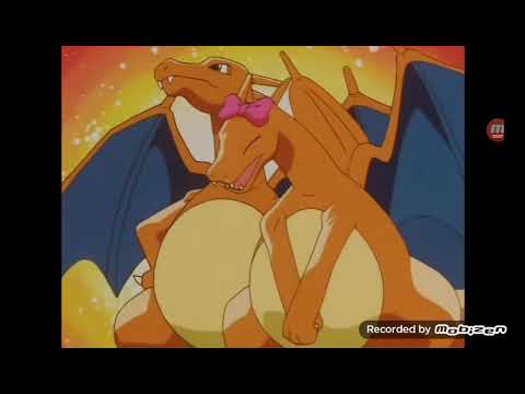 Ash's Charizard is now Charla's bodyguard.