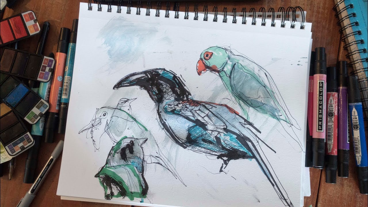 How I Sketch Birds with Pen and Marker: A Speed Drawing - YouTube