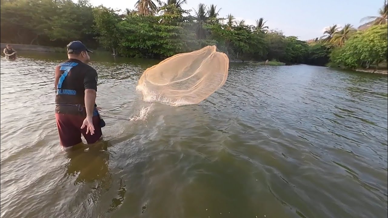 Miren este hombre pescador la técnica de tirar la Atarraya - YouTube