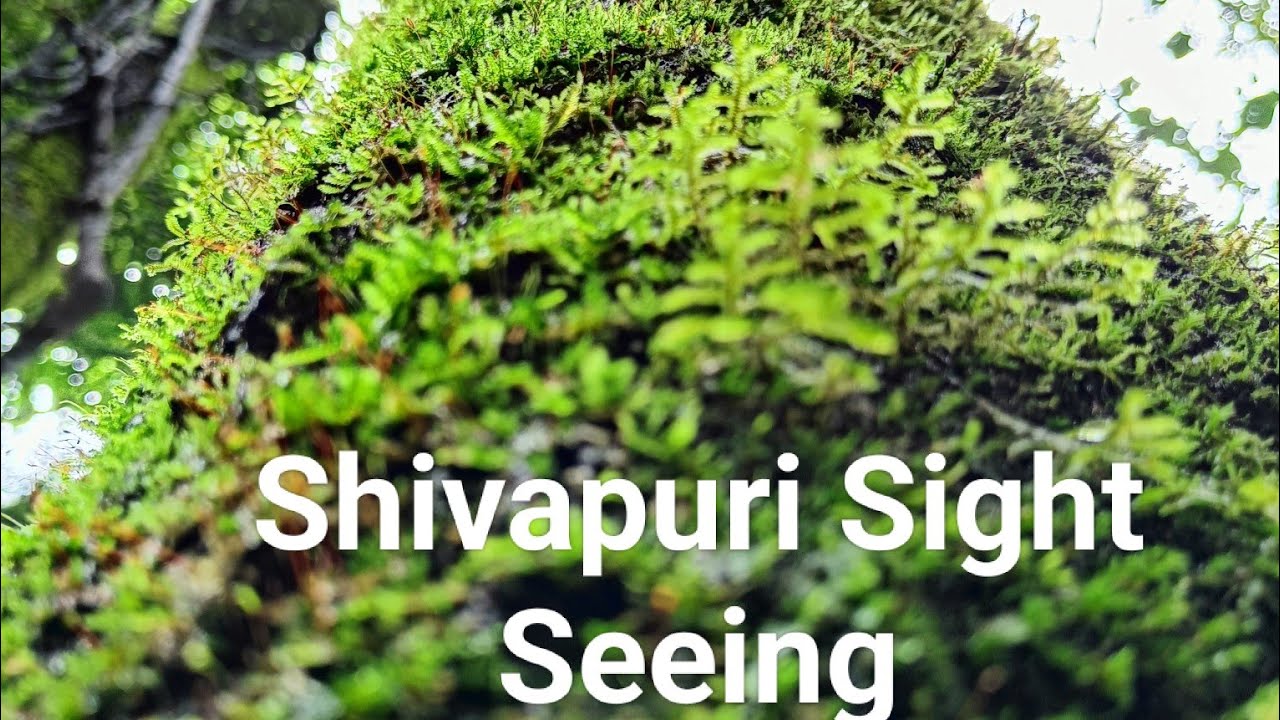 Shivapuri || Nagi Gumba || Bishnudwar || Sight Seeing || - YouTube