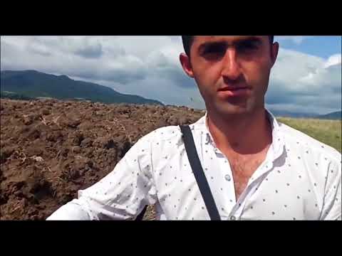 Saz havası - Gilənar. Şəhid Şahgündüz Cabbarov