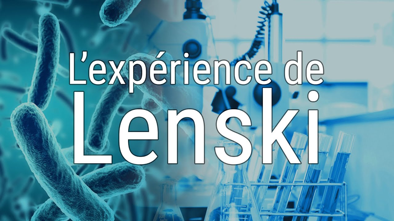 L'expérience de Lenski et la théorie de l'évolution - YouTube