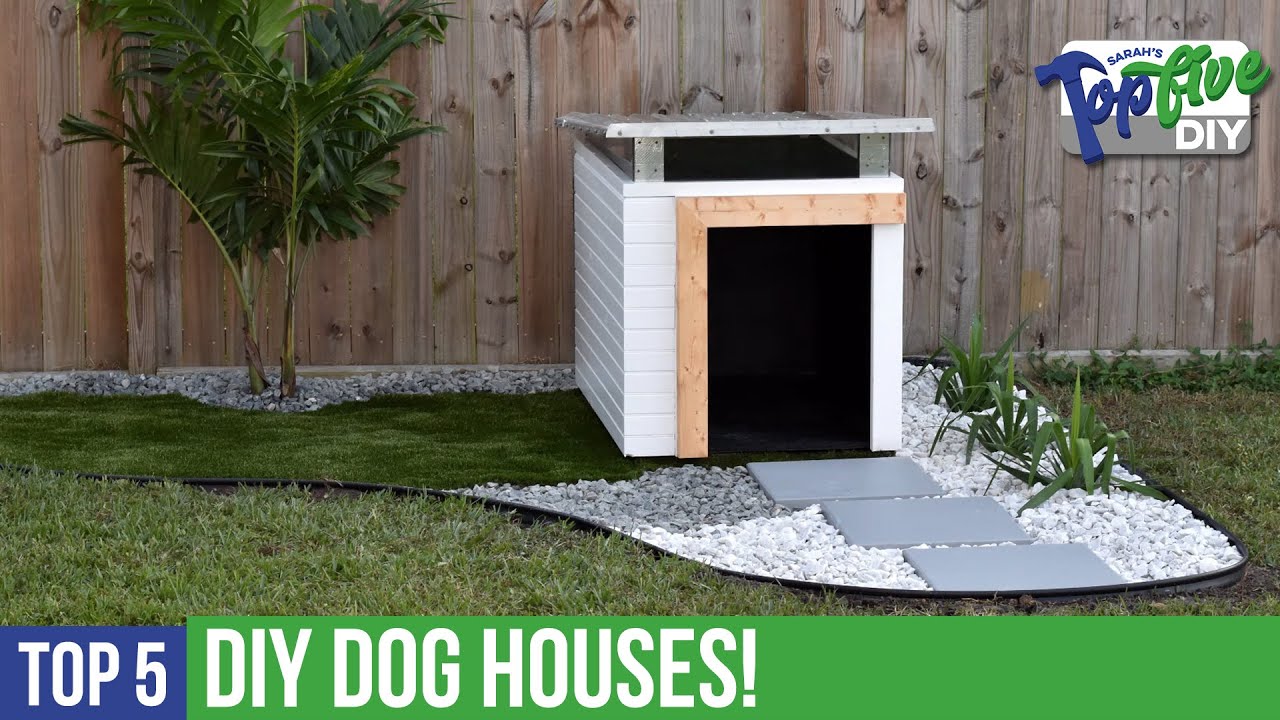 TOP 5 DIY Dog Houses! The Best Maker Videos for your Next Build! - YouTube