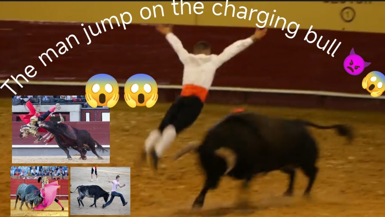bull fight || bull vs man - YouTube