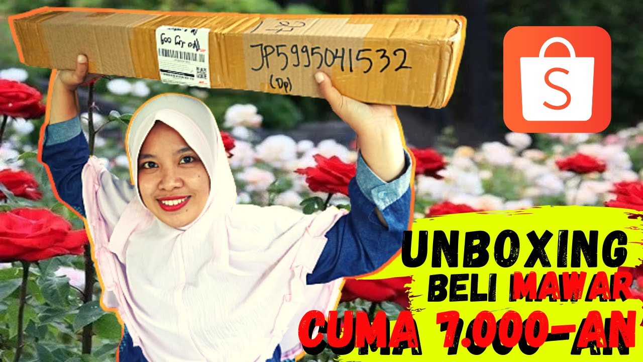UNBOXING BELI BUNGA ONLINE BUNGA MAWAR MEWAH 7000-AN @shopee Kebun ...