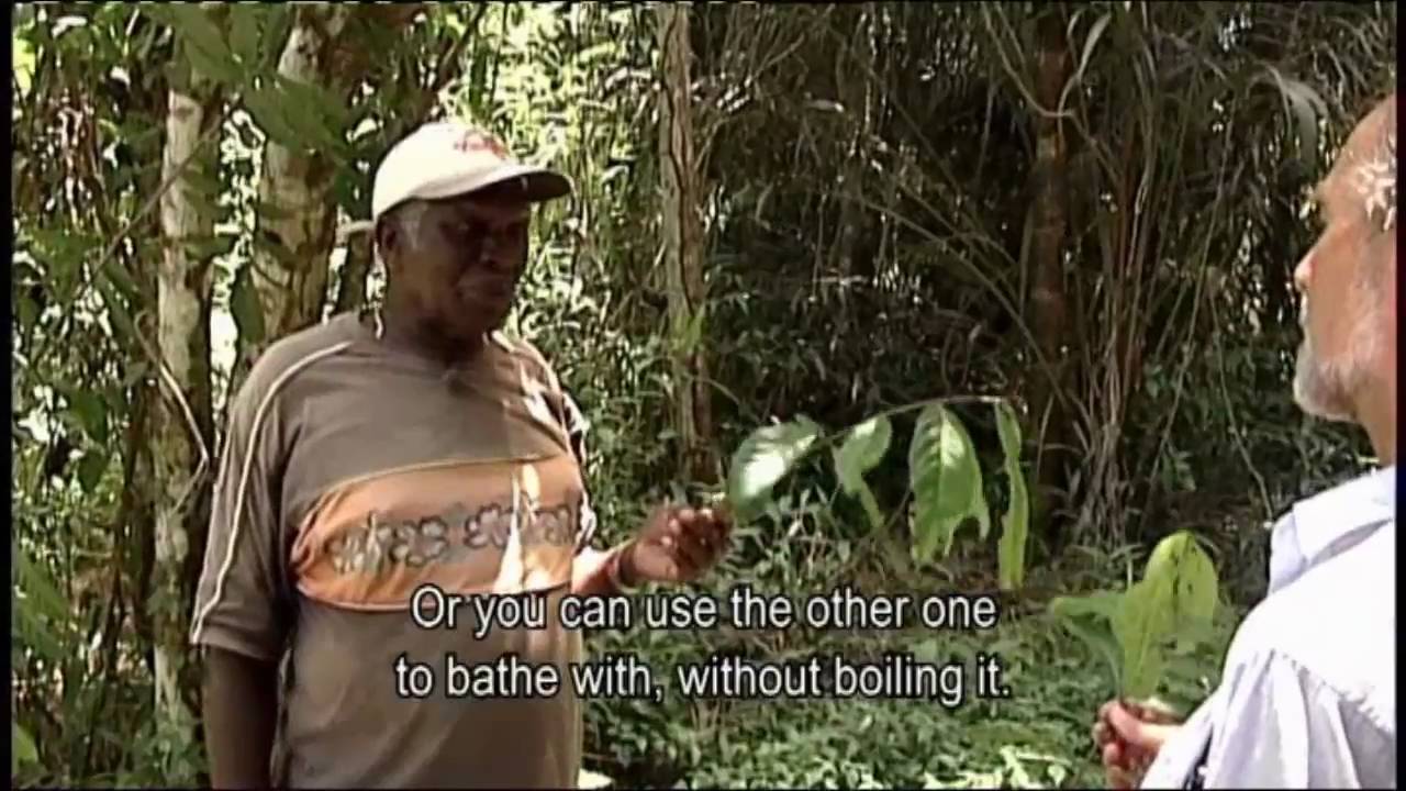 No Plant no Life - documentary part 3/7 - YouTube