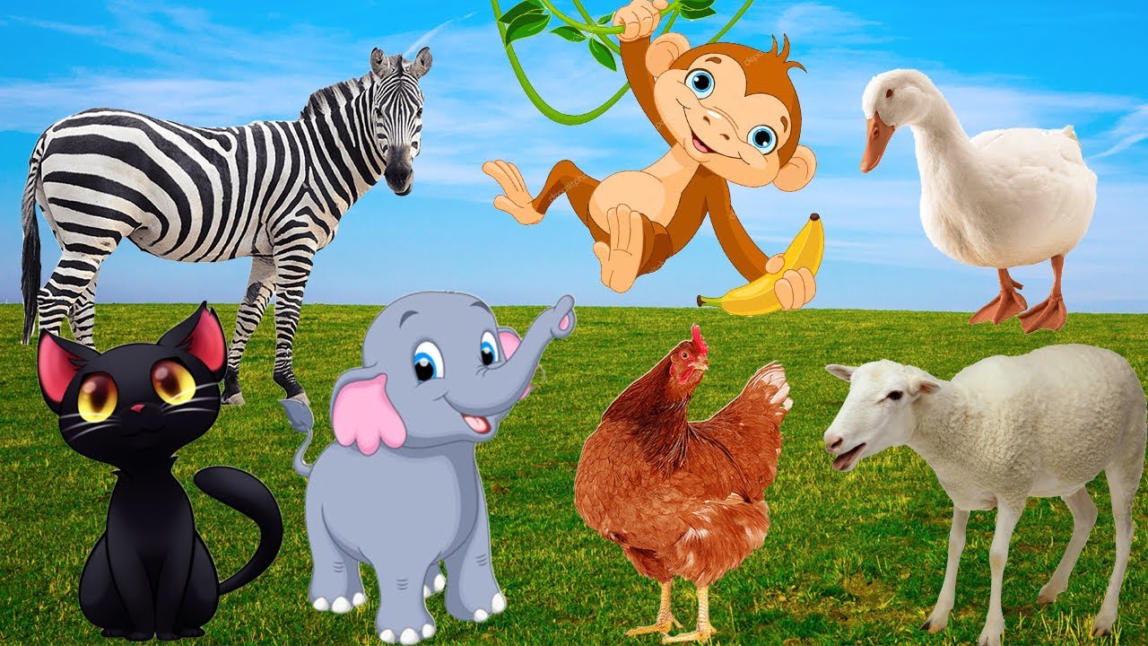 The lives of familiar animals: dogs, elephants, cows, chickens ...