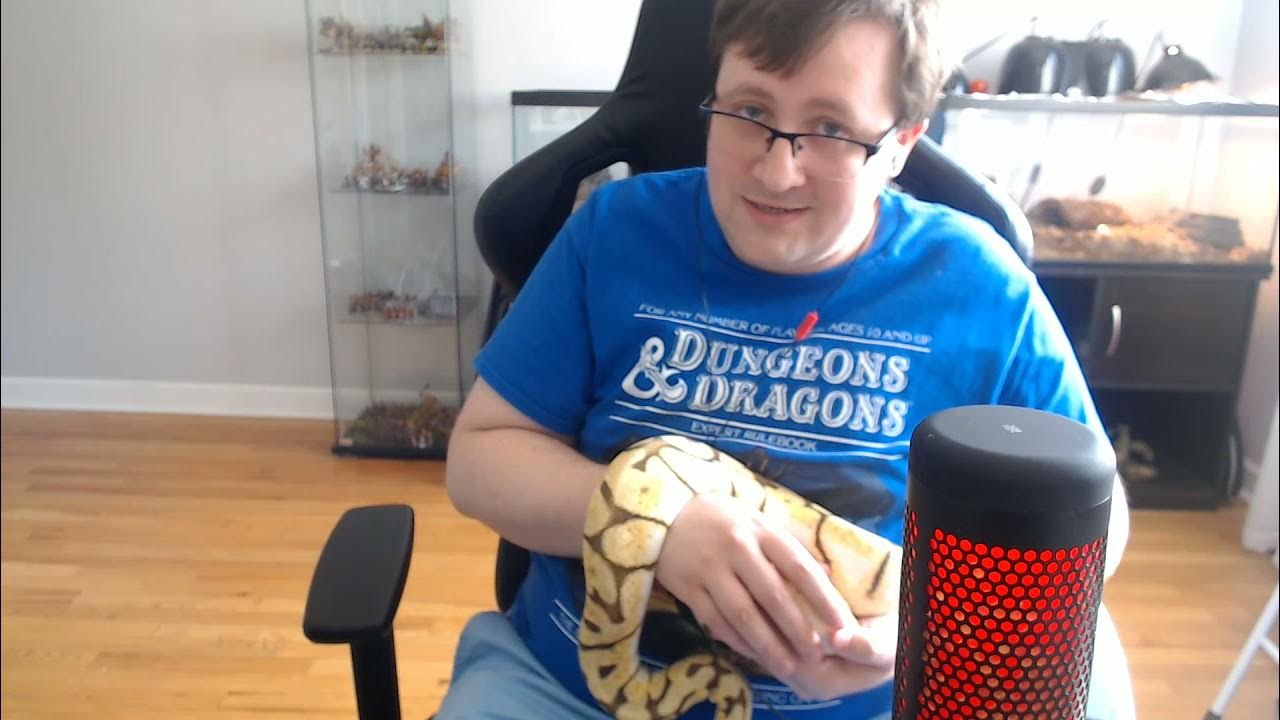 Snake ASMR - Showing off My Ball Python - YouTube