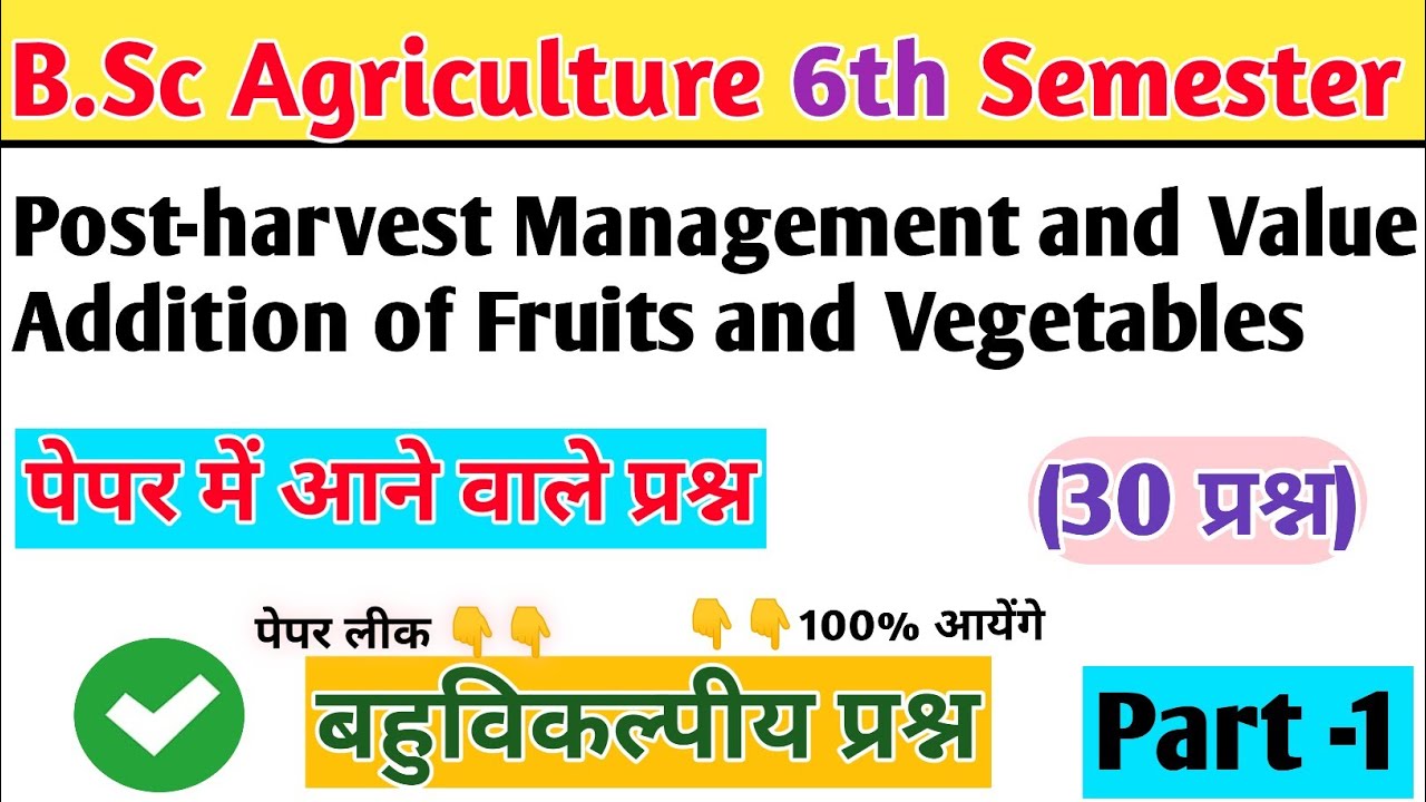Post-harvest Management and Value Addition of Fruits and Vegetables ...