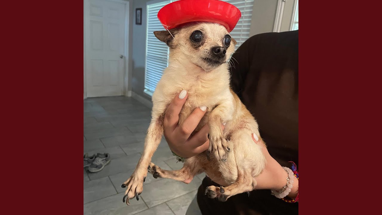 Real Eyes (feat. bus_toes) - YouTube