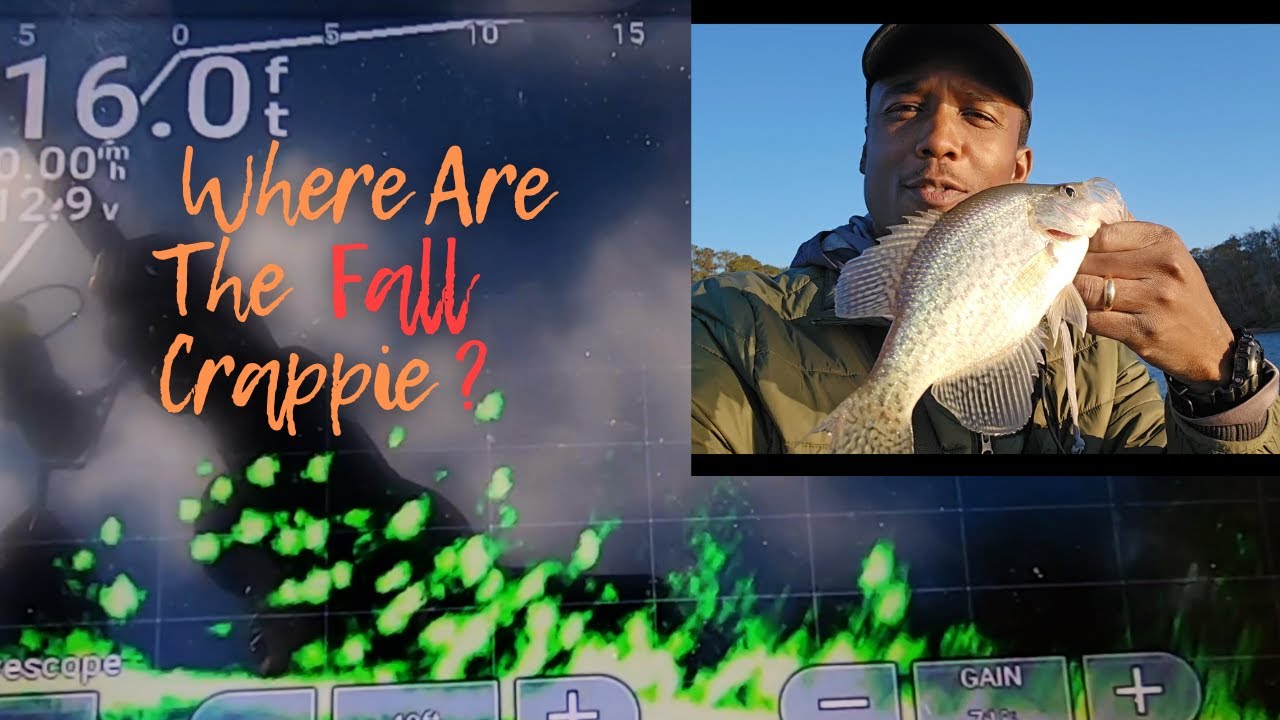 Make This SIMPLE Adjustment to Catch More Fall CRAPPIE -Tips and ...