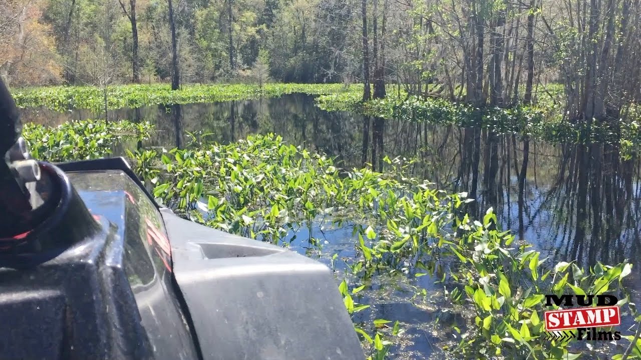 The Pit Frogs Natural Habitat - YouTube