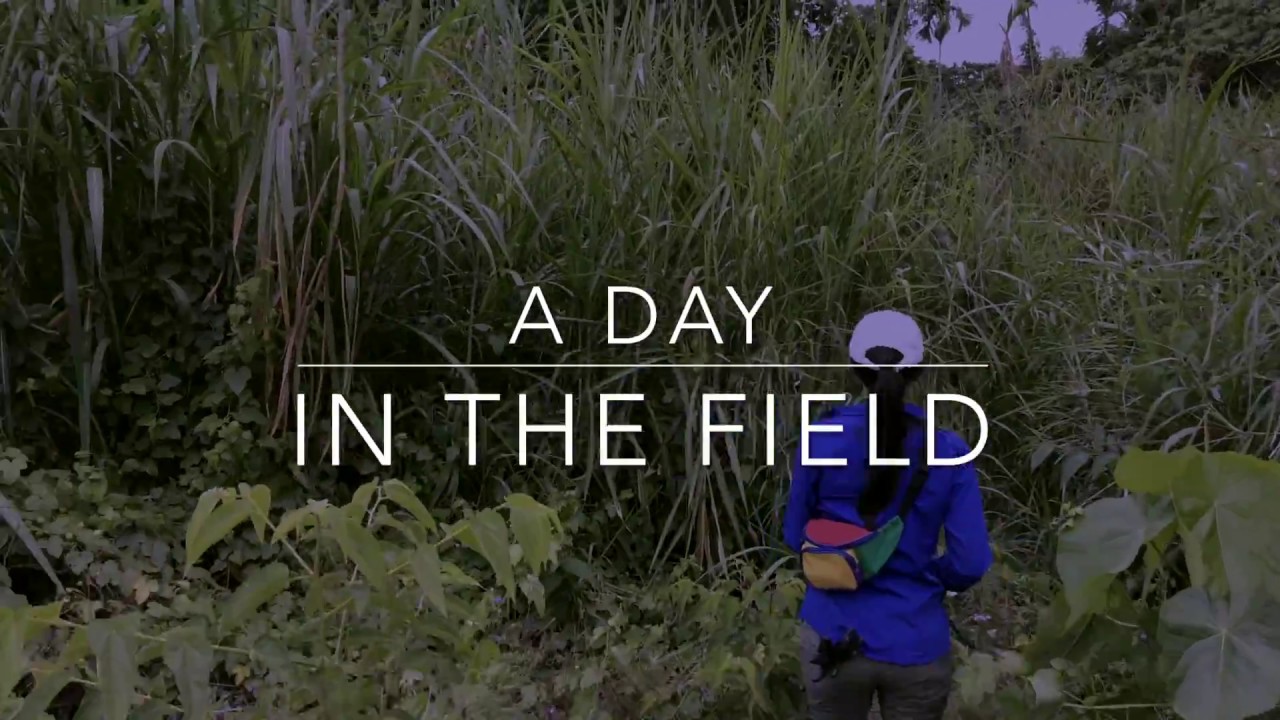 A Day in the Field with Kristina Chyn - YouTube