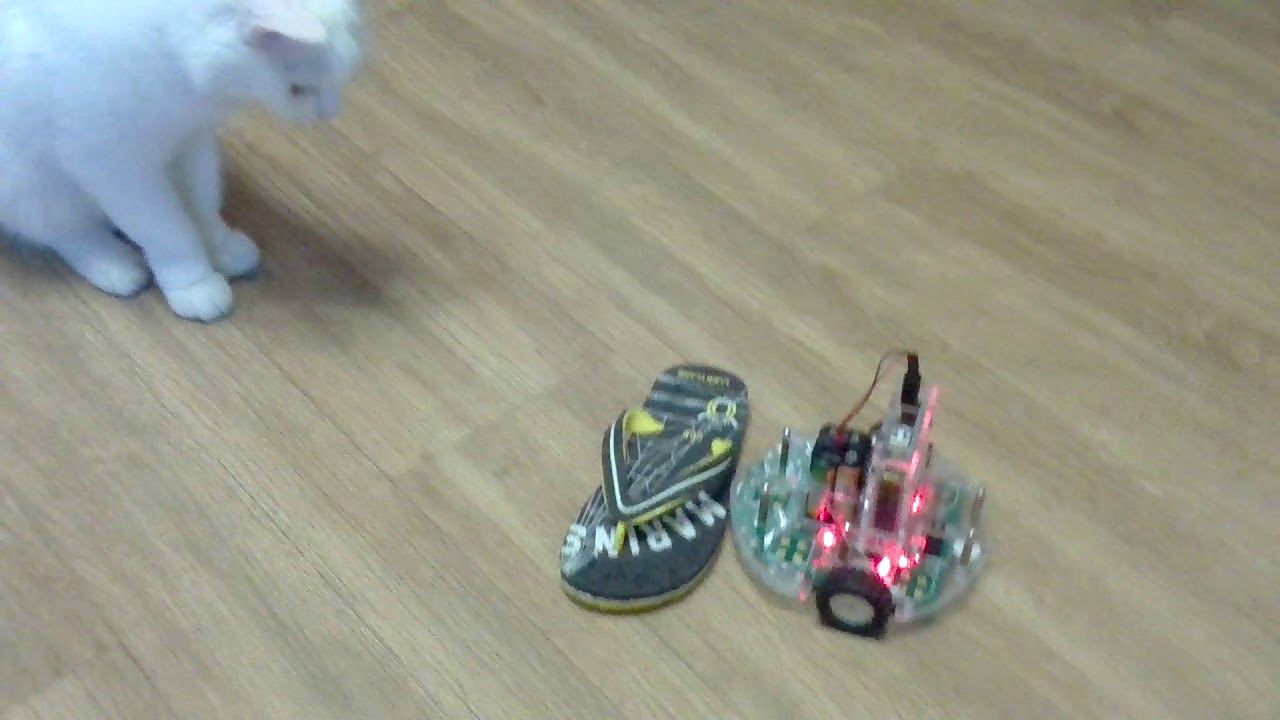 ScratchDuino приносит тапочки - YouTube