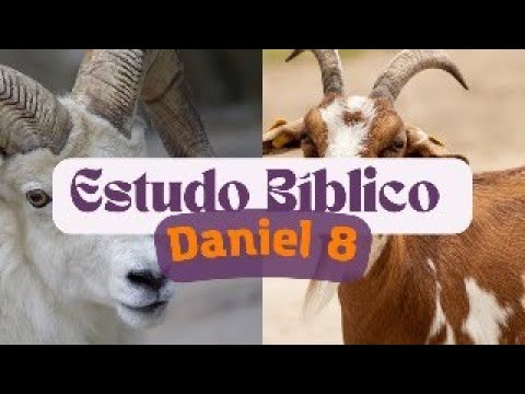 Estudo Biblico de Daniel Capitulo 8 - YouTube