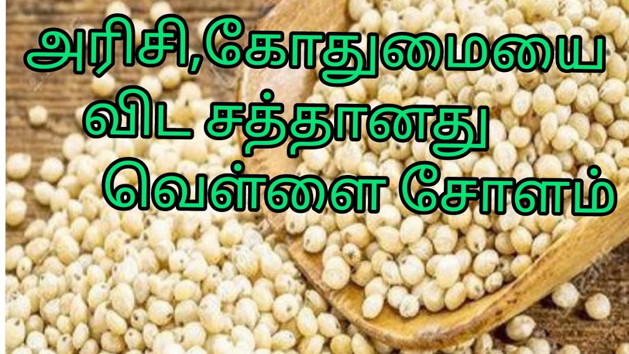 வெள்ளை சோளத்தின் மருத்துவ பயன்கள்|White Cholam health benefits|Millet ...