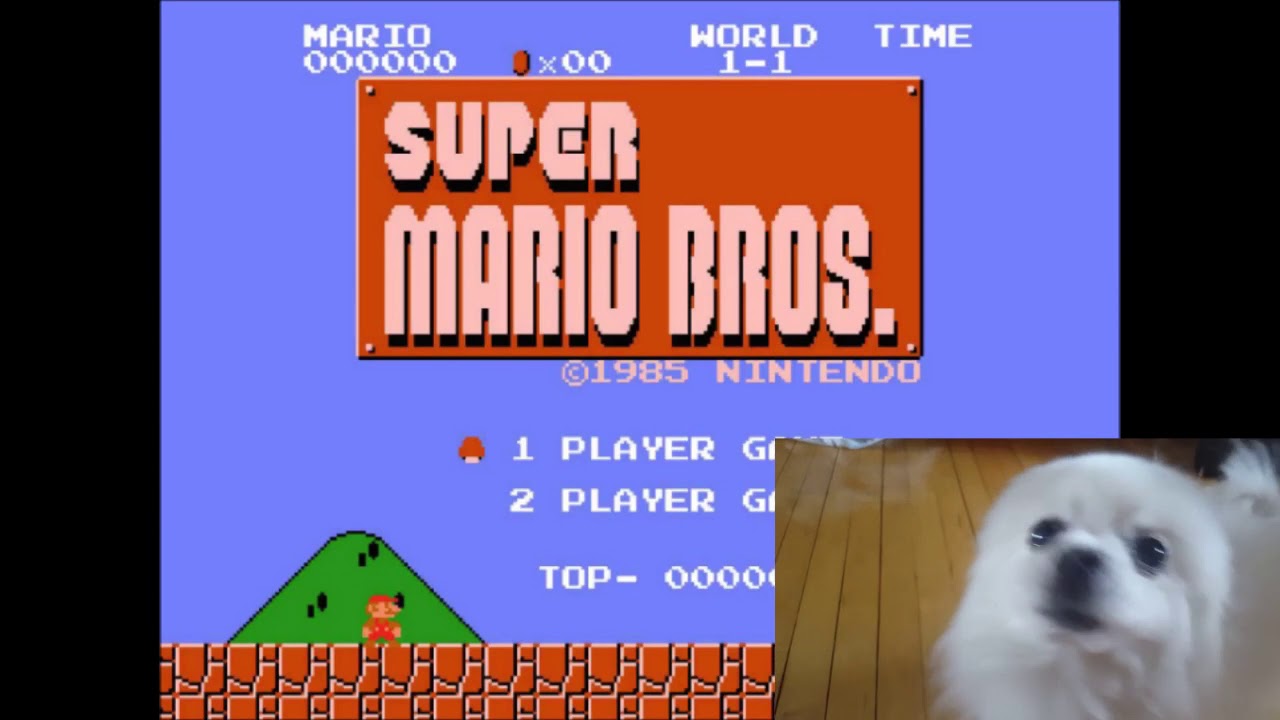 슈퍼마리오 개짖는 소리 supermario gabe doge meme - YouTube