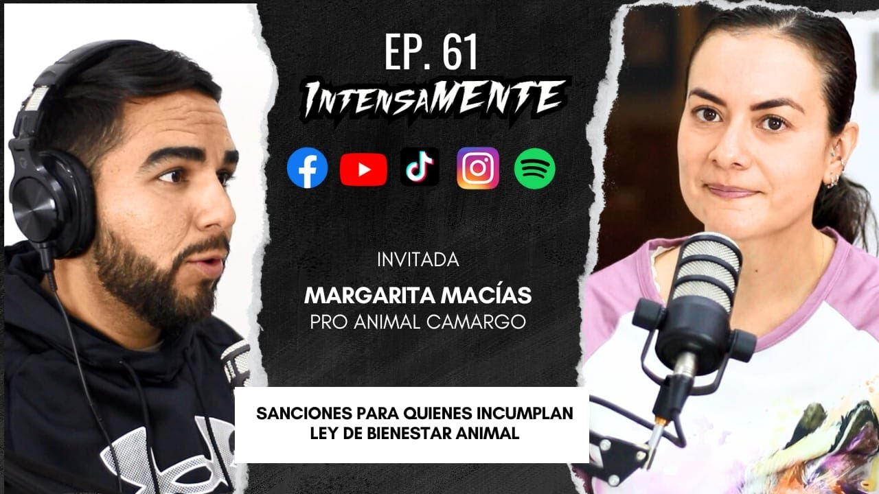 IntensaMENTE 61 Margarita Macías | Ley de bienestar animal,Sanciones ...