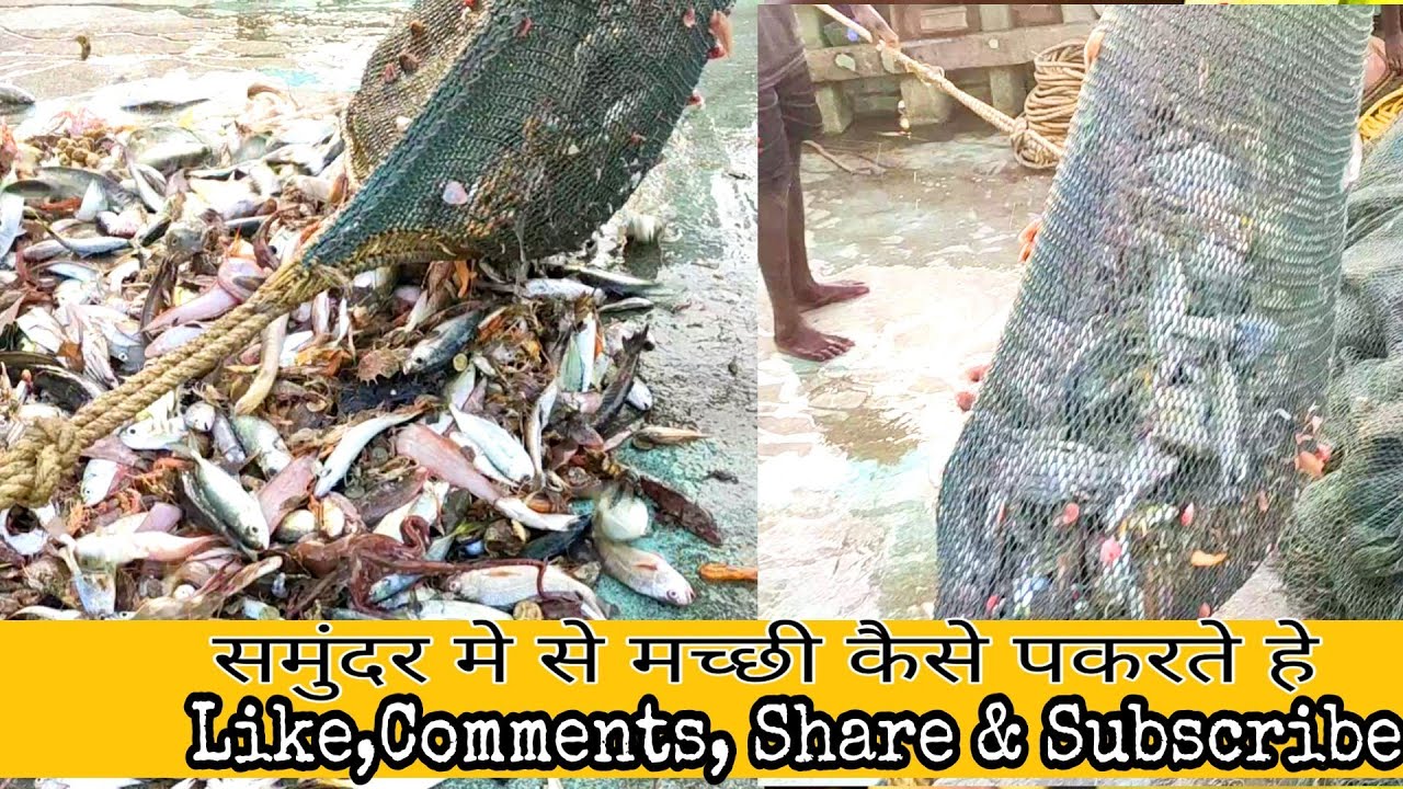 समुंदर में से मच्छी कैसे पकड़ते है Trowling fishig in India | net ...