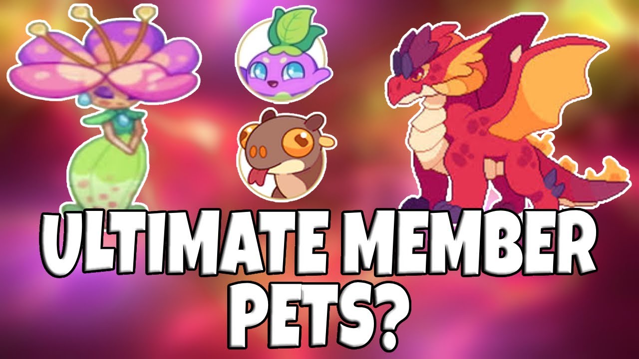 Prodigy Math Game | Which *Ultimate Member* Pet Might Be Next ...