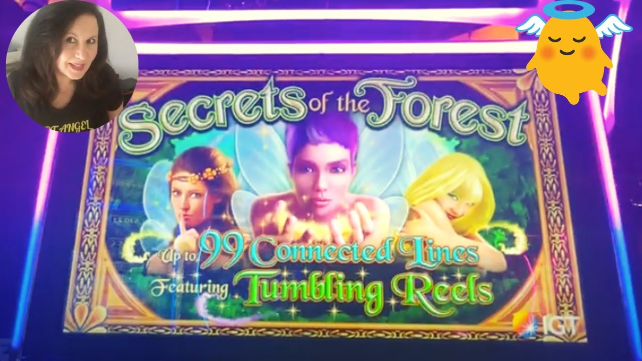 SECRETS OF THE FOREST SLOT MACHINE LIVE PLAY@CASINO! What can $20 do ...