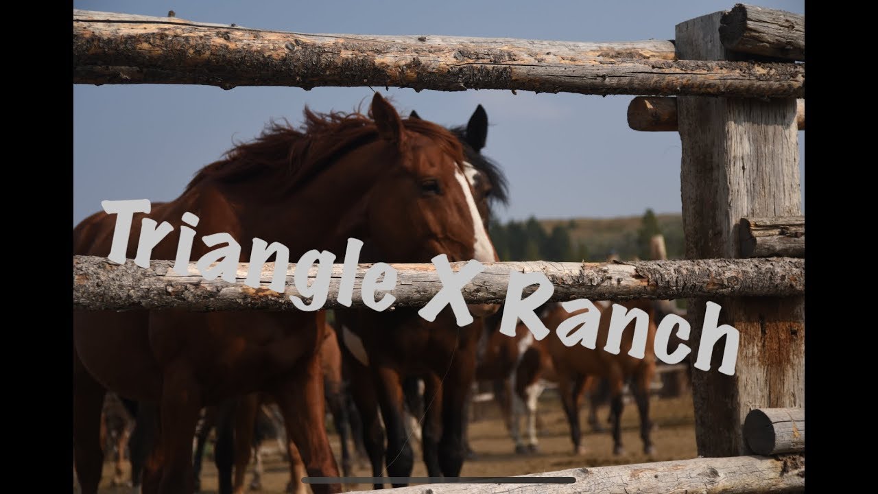 Our Family Trip (Triangle X Ranch) - YouTube