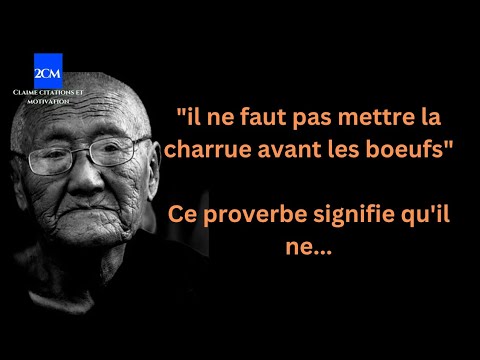 Les meilleurs Proverbes français et leur signification | Pensées sages ...
