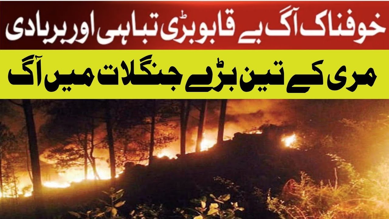 Wildfire In Murree | Murree Fire Got Uncontrol able | Wild Fire In ...