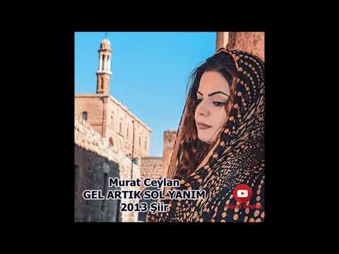 Murat Ceylan GEL ARTIK SOL YANIM 2013 Şiir