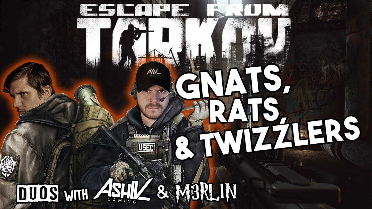 Gnats, Rats, and Twizzlers - Funny Tarkov Duos - YouTube