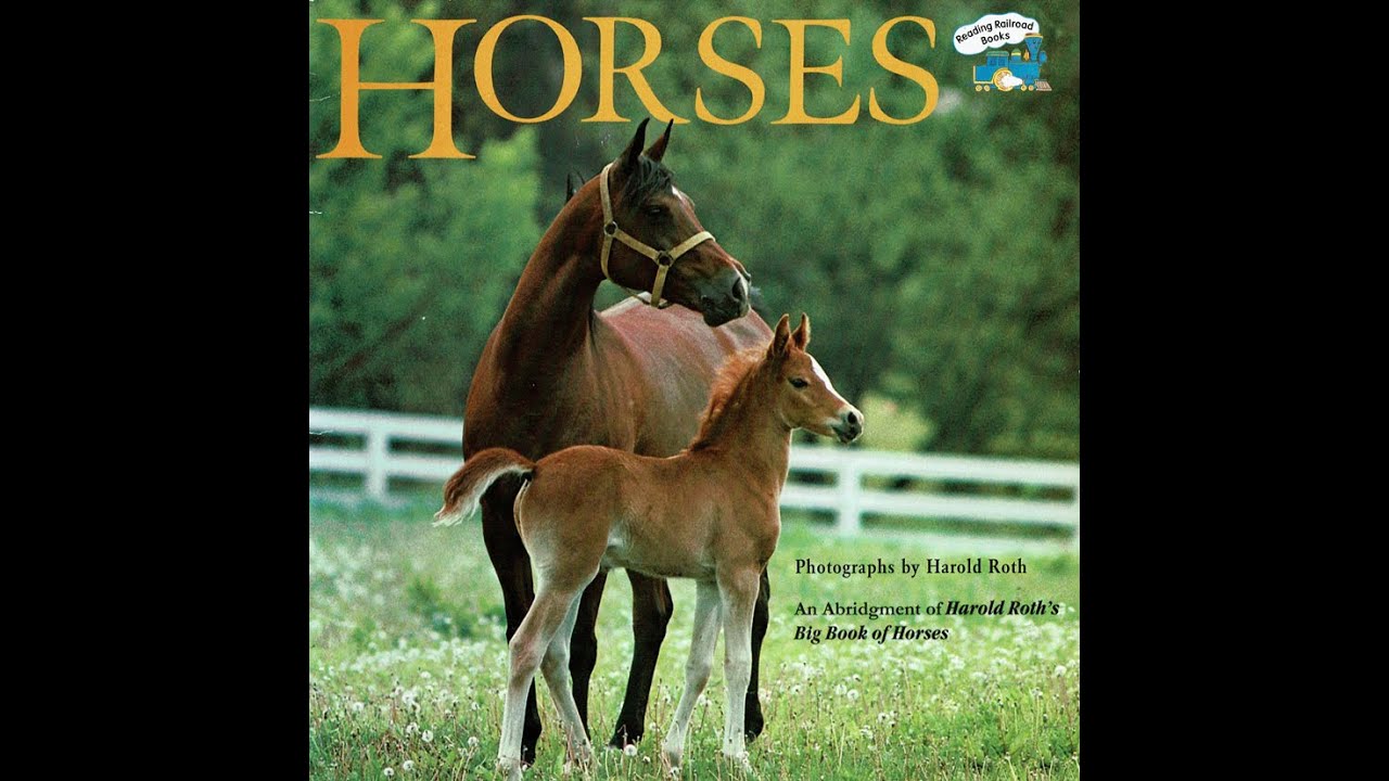 Kids Book Read Aloud: Horses by Margo Lundell, Photos by Harold Roth ...