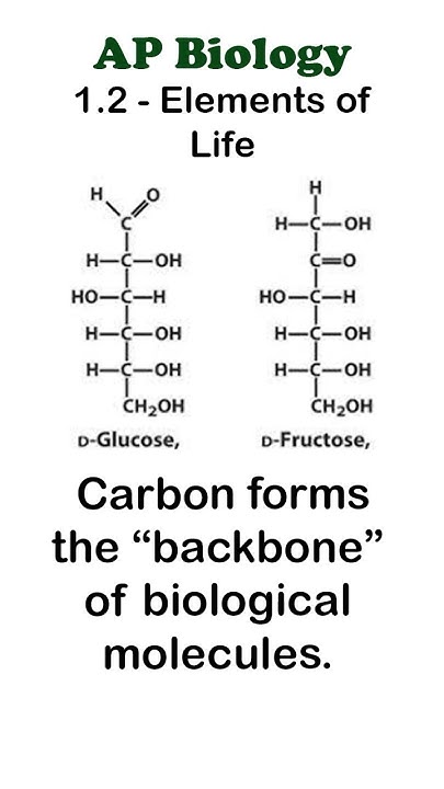 AP Bio 1.2 - Carbon! #apbiology #biochemistry - YouTube