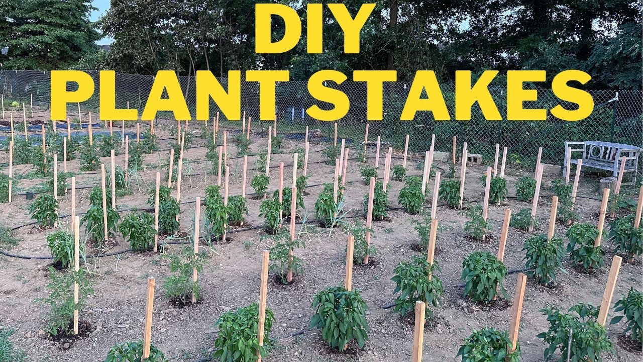 DIY Plant stakes using 2 by 4 - YouTube