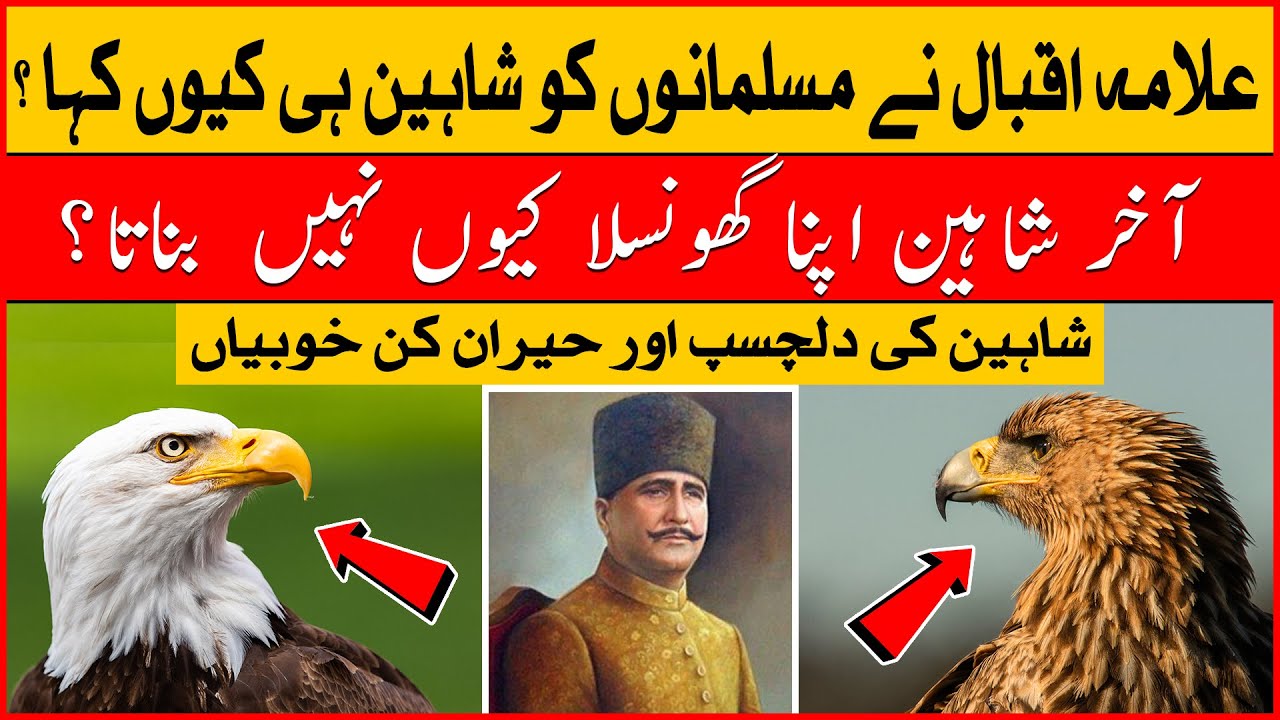 Allama Iqbal Shaheen A Tribute To Allama Iqbal| Rekhta