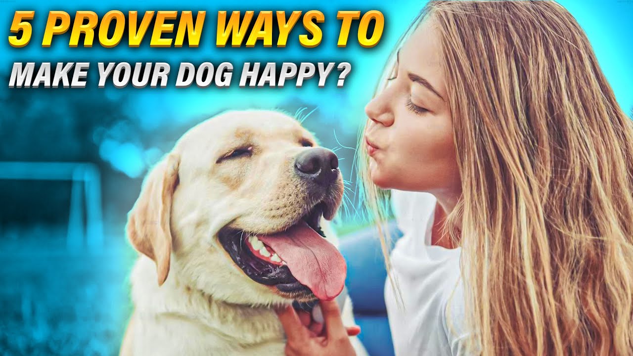 How to Make Your Dog Happy: 5 Proven Ways to Increase Happiness - YouTube
