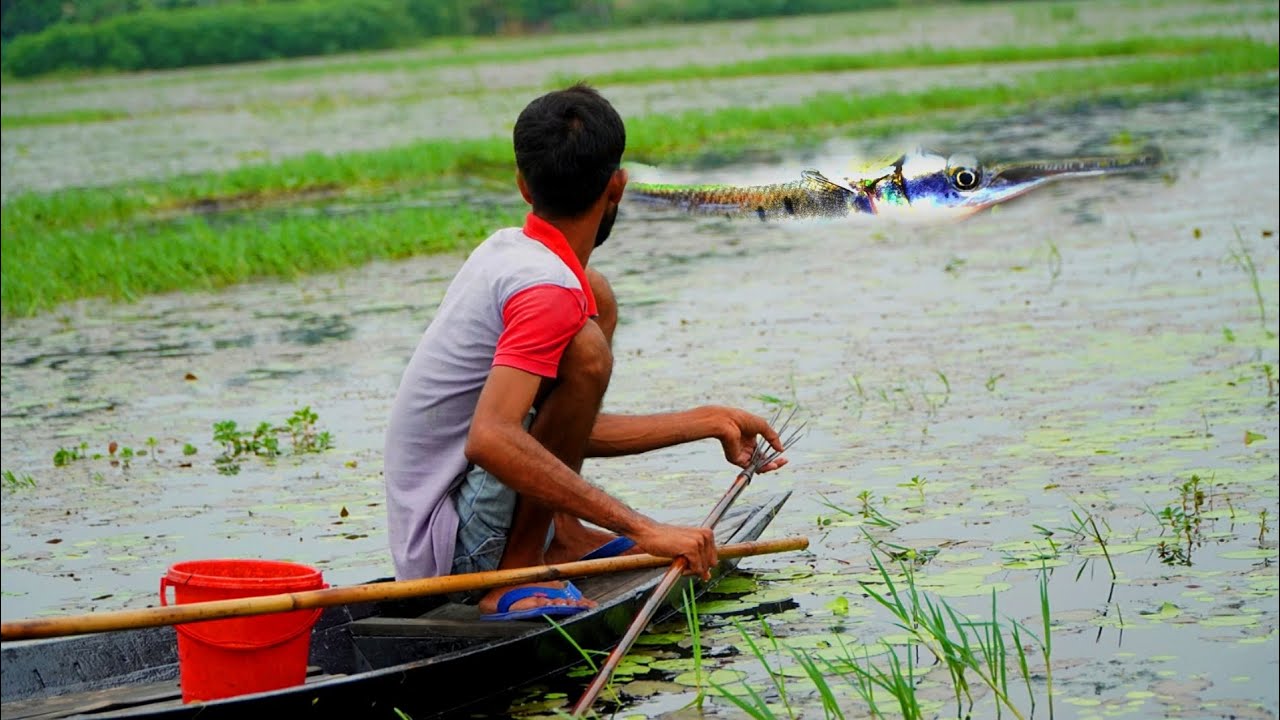 Sawfish catching from wetland। Amazing new hand fishing with Tota। BD ...