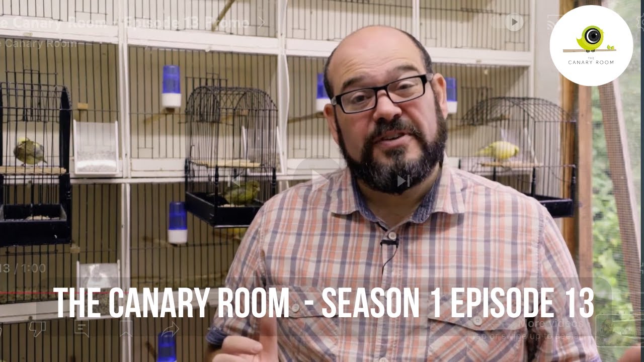The Canary Room Season 1 EPISODE 13 - YouTube