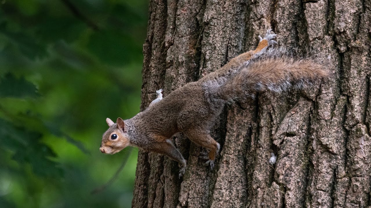 Will You Grow Show- Letting Go To Receive Guidance: with Angelique ...