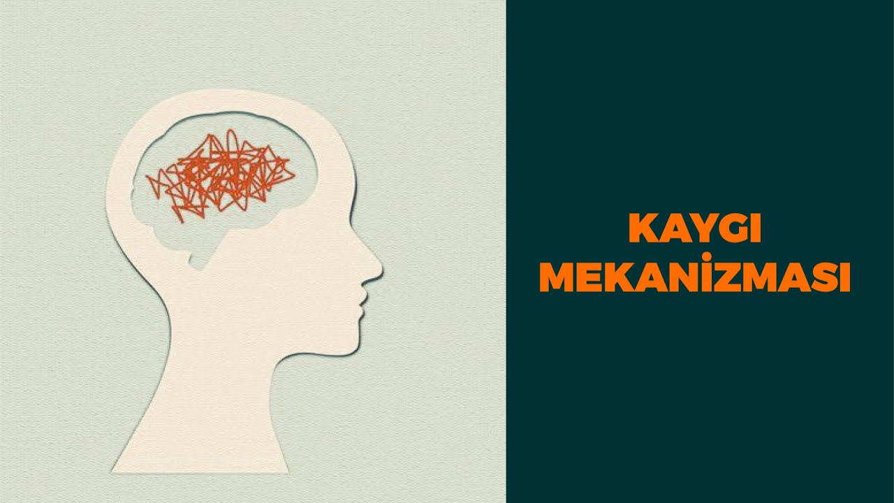 KAYGI NEDİR, NEDEN OLUŞUR ve KAYGILARLA NASIL BAŞA ÇIKABİLİRİZ - YouTube