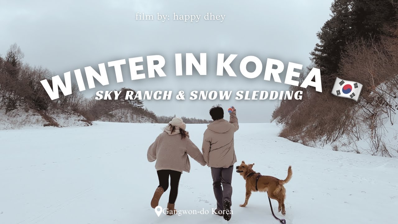 Korea Vlog | ️ Winter in Gangwon-do, Sky Ranch + Snow Sledding with our ...