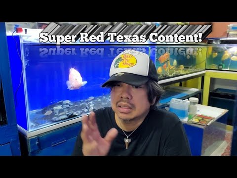 Super Red Texas Content # 1 - YouTube