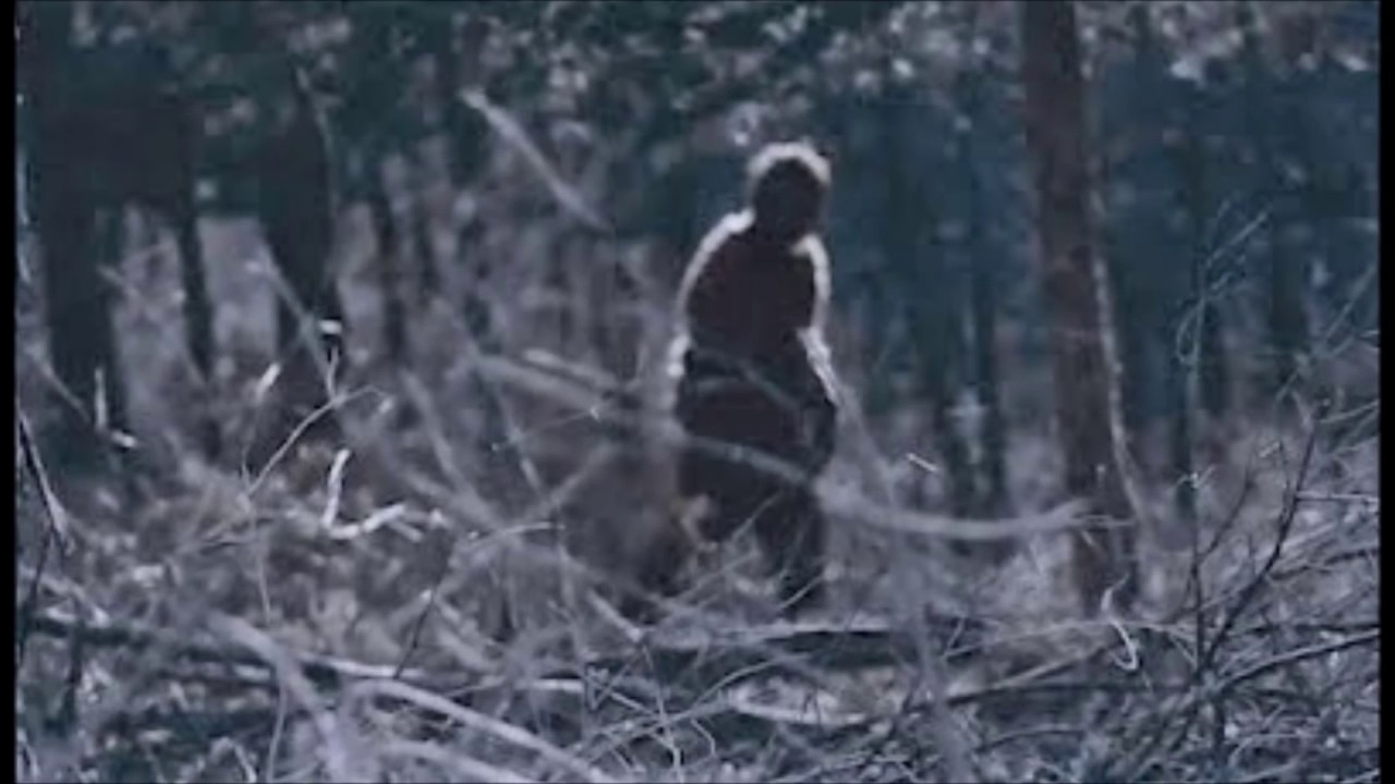 A Woman Claims She Raised a Baby Bigfoot in the Louisiana Swamp - YouTube