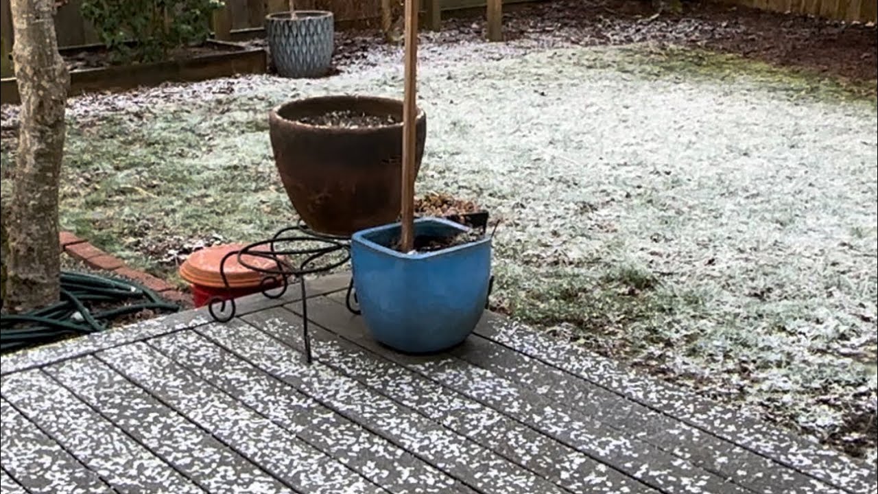 Good morning white Tuesday! Little bit of snow turning into little ice ...