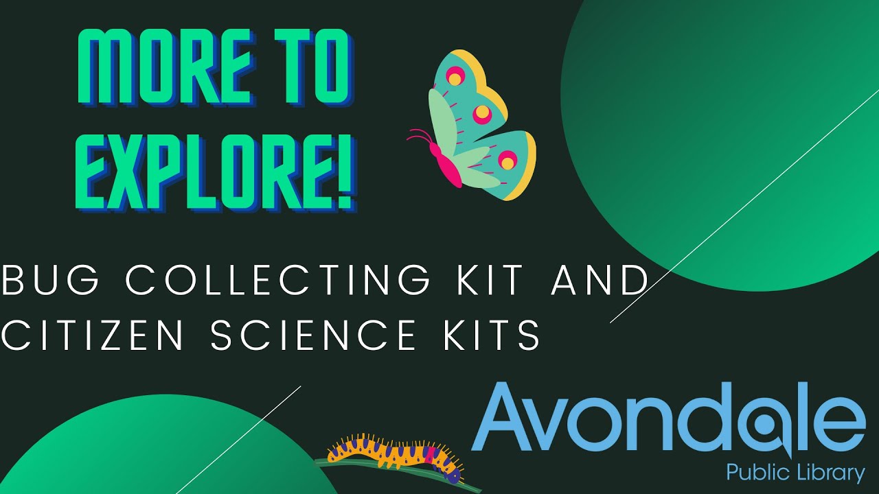 More to Explore August Week 1: Bug Collecting Kits and Citizen Science ...
