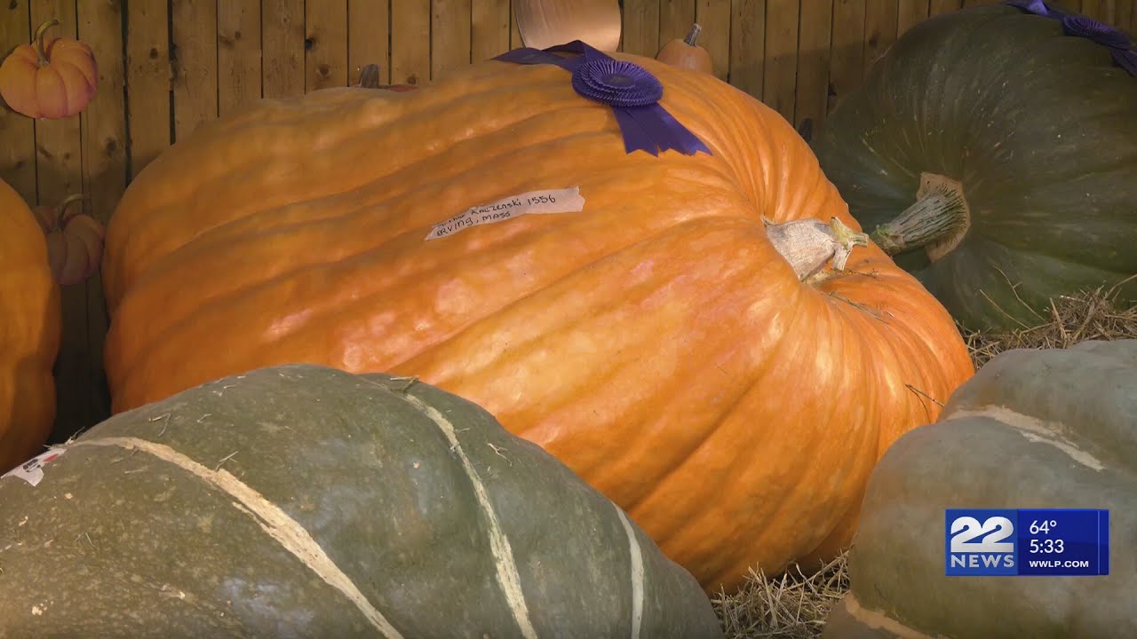 Big E showcases giant pumpkins at Farm-A-Rama - YouTube