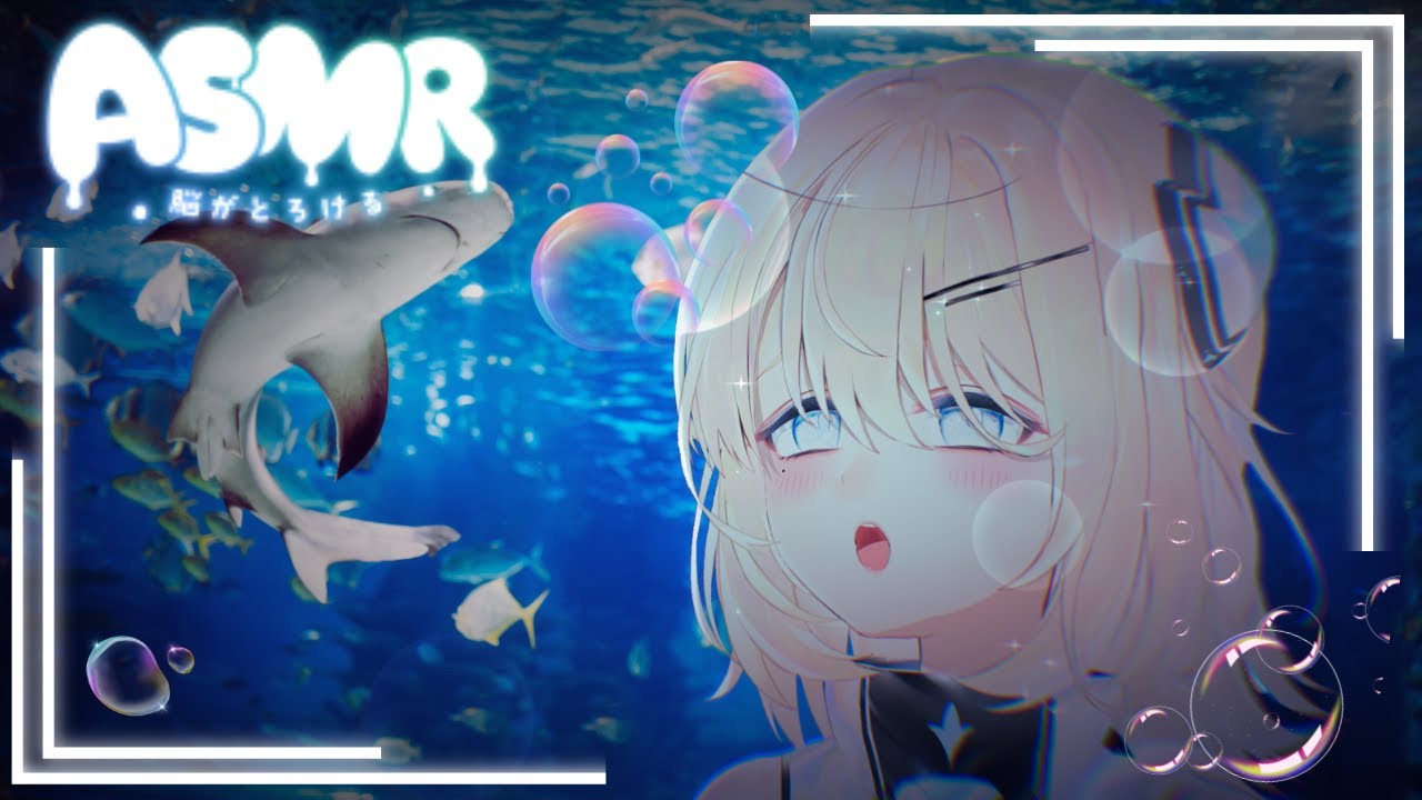 Aquarium Visit ASMR, REAL FOOTAGE + bubble triggers!【BINAURAL XLR ASMR ...
